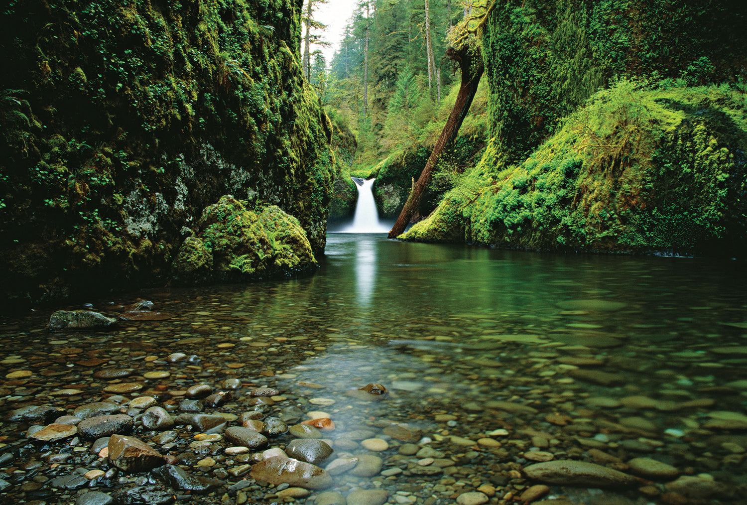 Nancy J. Smith Nature Photographer